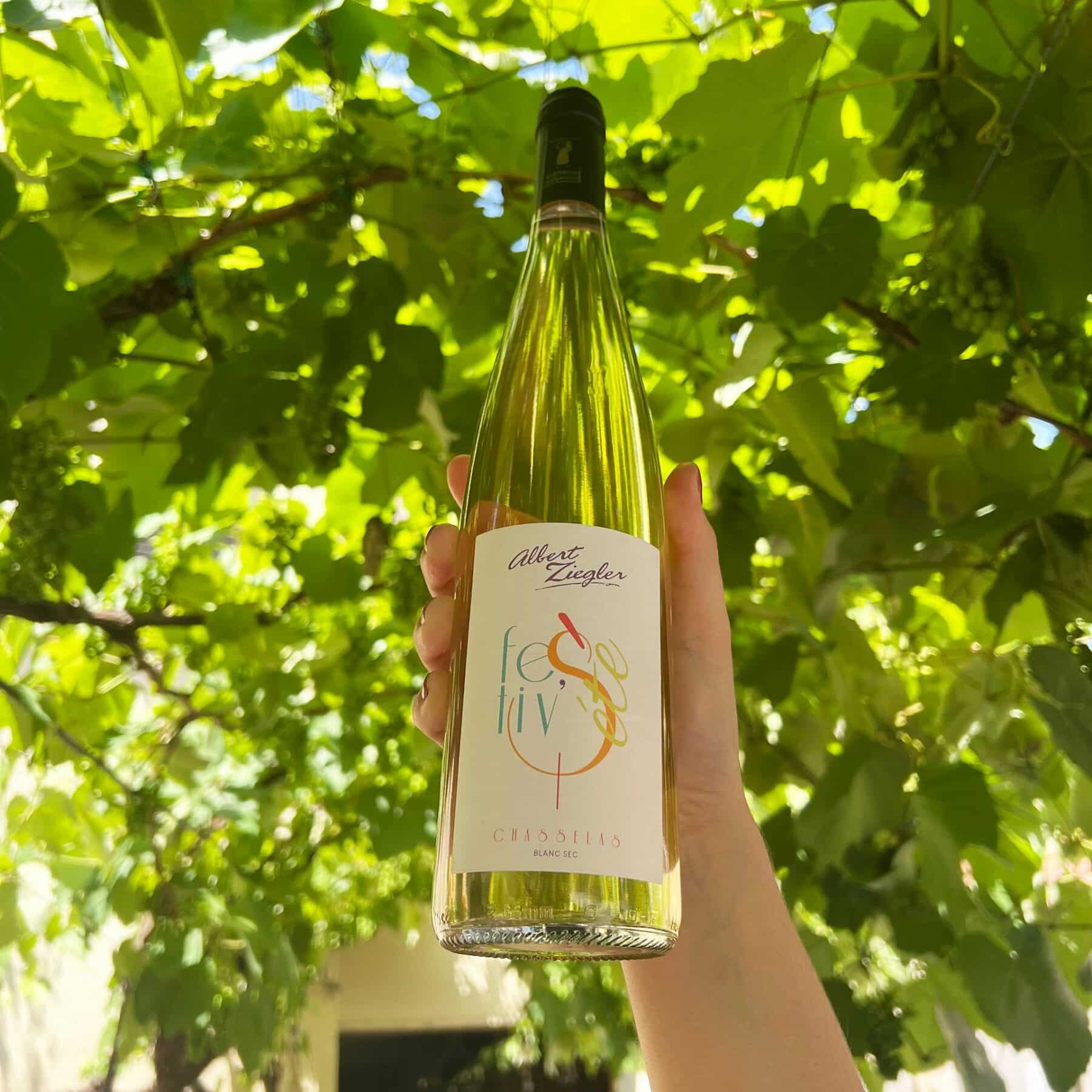 Domaine Albert Ziegler - Agence HOP - Agence de communication Grand-Est ...